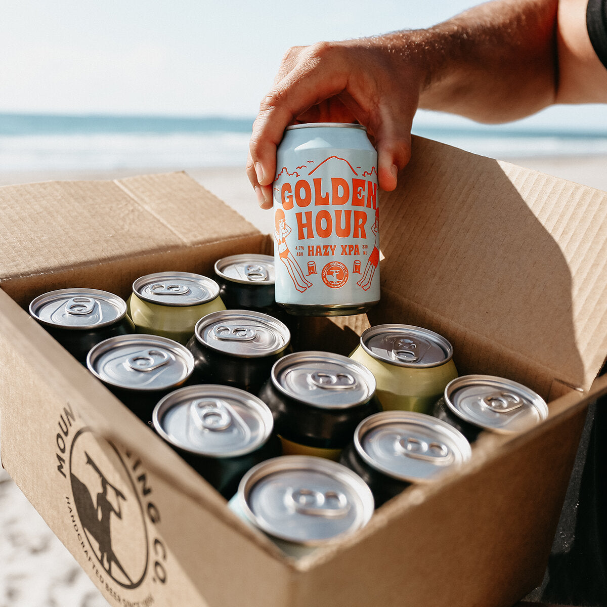 Set Of Twelve - Mixed Twelve Pack – Mount Brewing Co